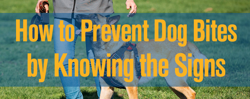 Prevent Dog Bites By Knowing the Signs | Hastings & Hastings